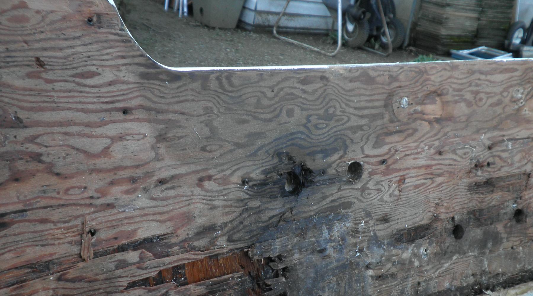 FiberGlassics® - Transom Replacement - FiberGlassics® Forums